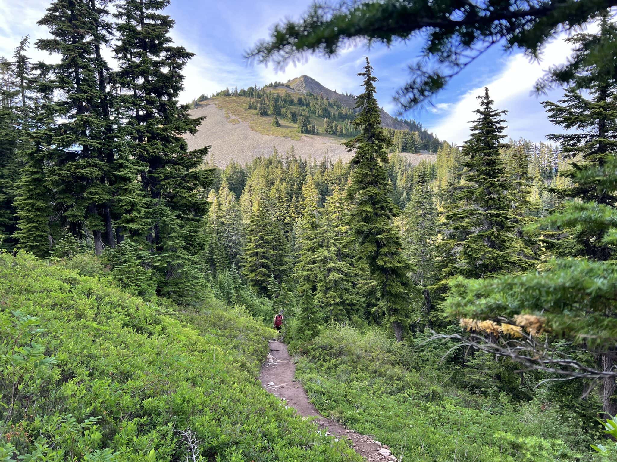 Washington's Silver Peak Hike Offers Epic Views of Rainier Via the PCT