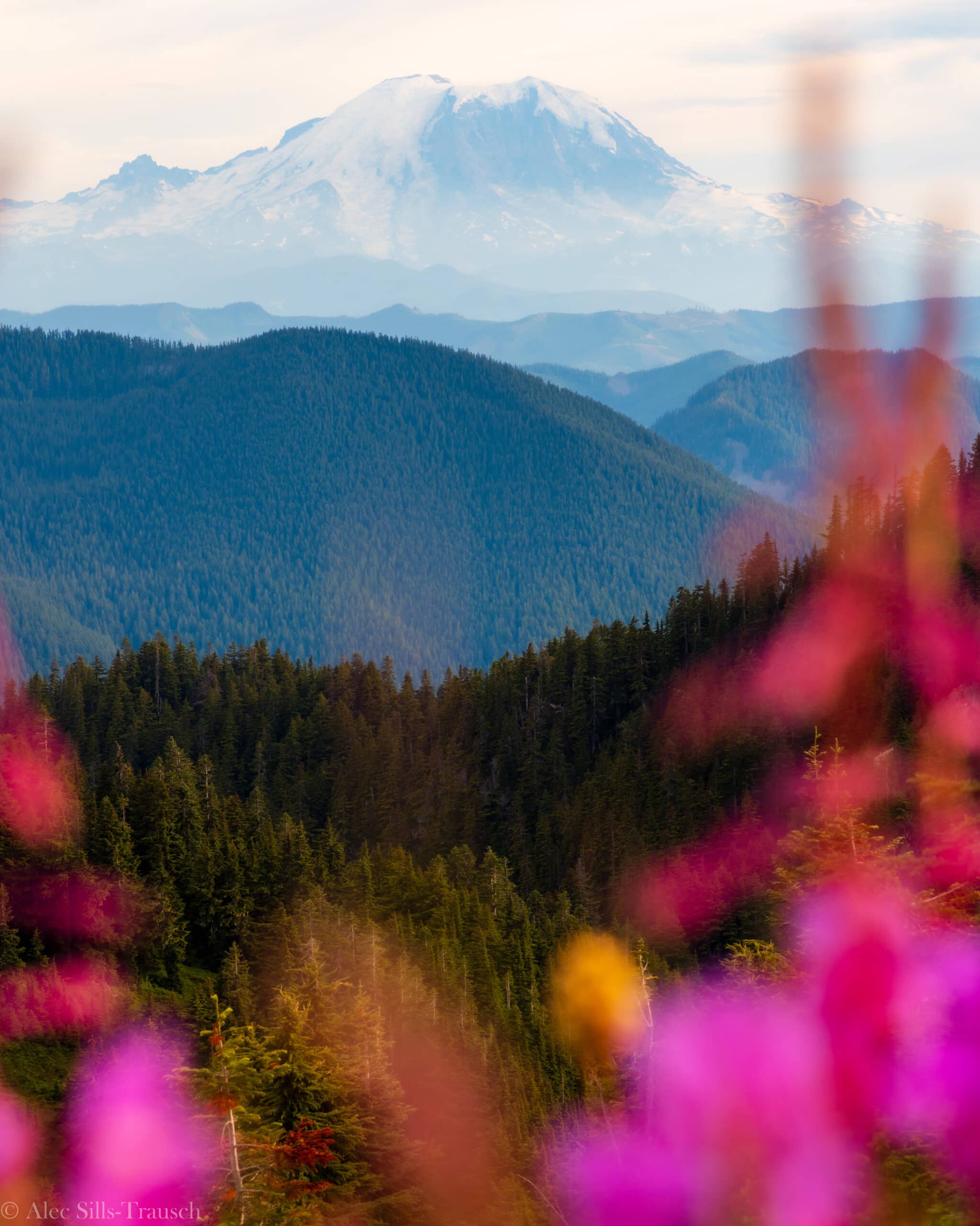 Washington's Silver Peak Hike Offers Epic Views of Rainier Via the PCT