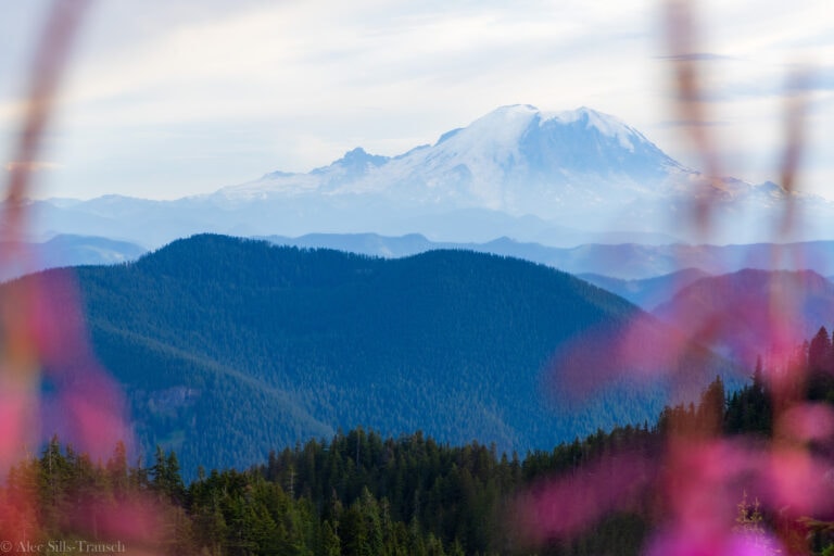 Washington's Silver Peak Hike Offers Epic Views of Rainier Via the PCT