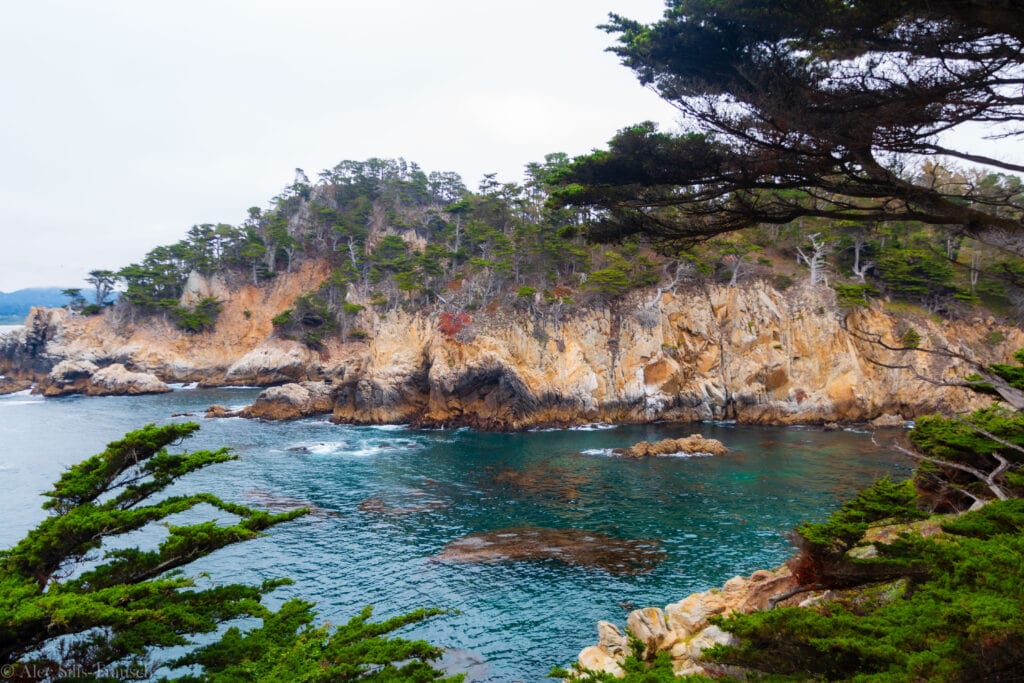 Guide To Beautiful Point Lobos State Natural Reserve In California