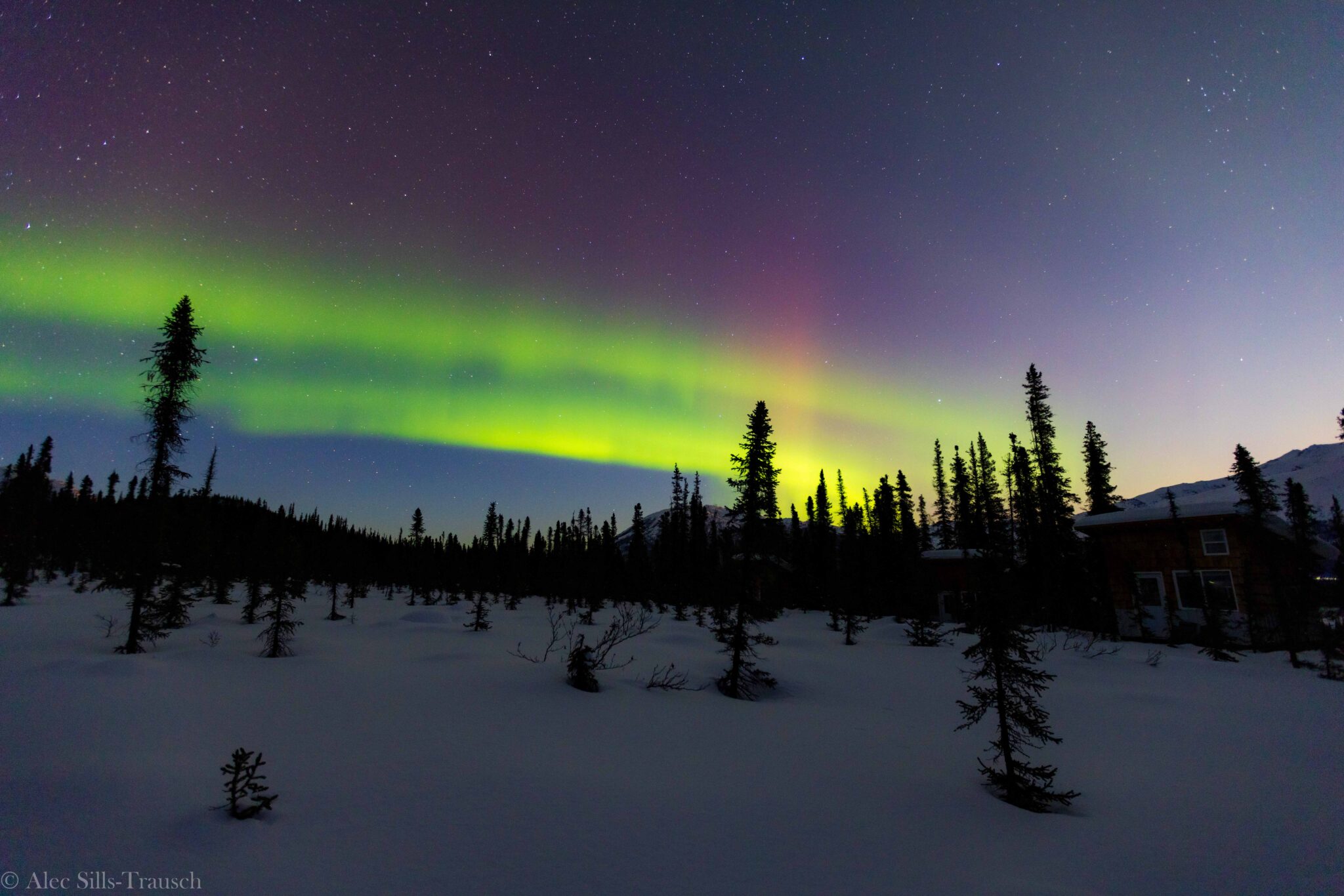Winter In Fairbanks: 11 Things To Do on Your Trip to Alaska