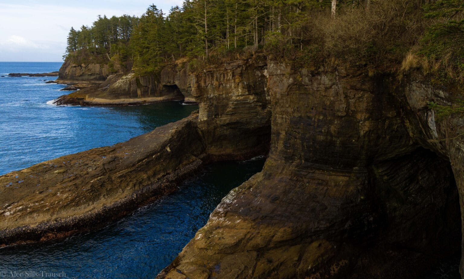 Visiting Guide for the Cape Flattery Trail in Washington