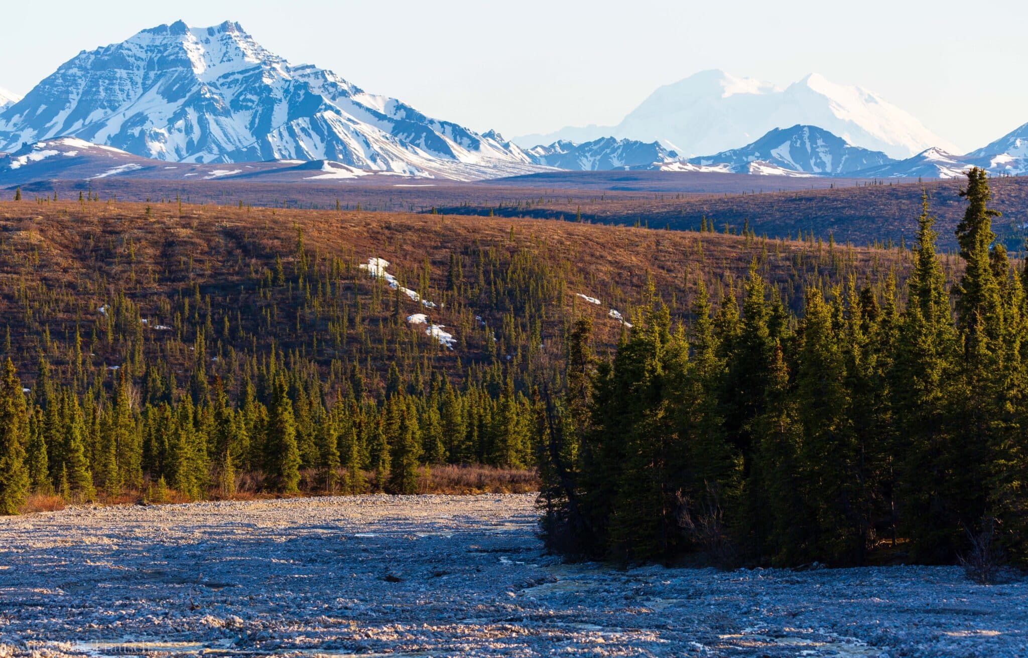 Denali Itinerary: How To Spend Three Days In Denali National Park