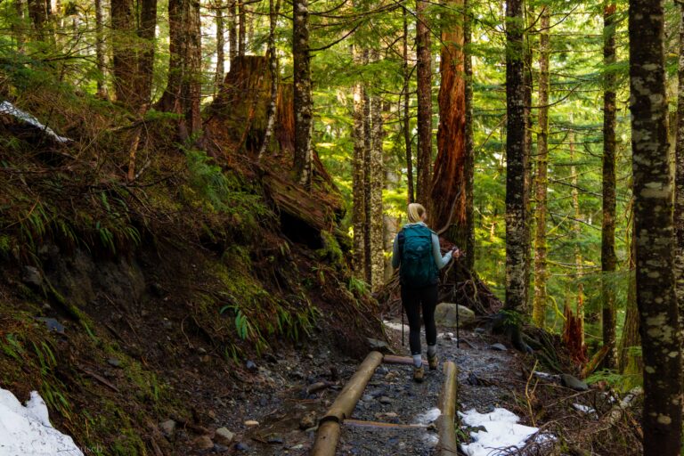 Lake 22 Trail: Guide for a Great Washington Hike