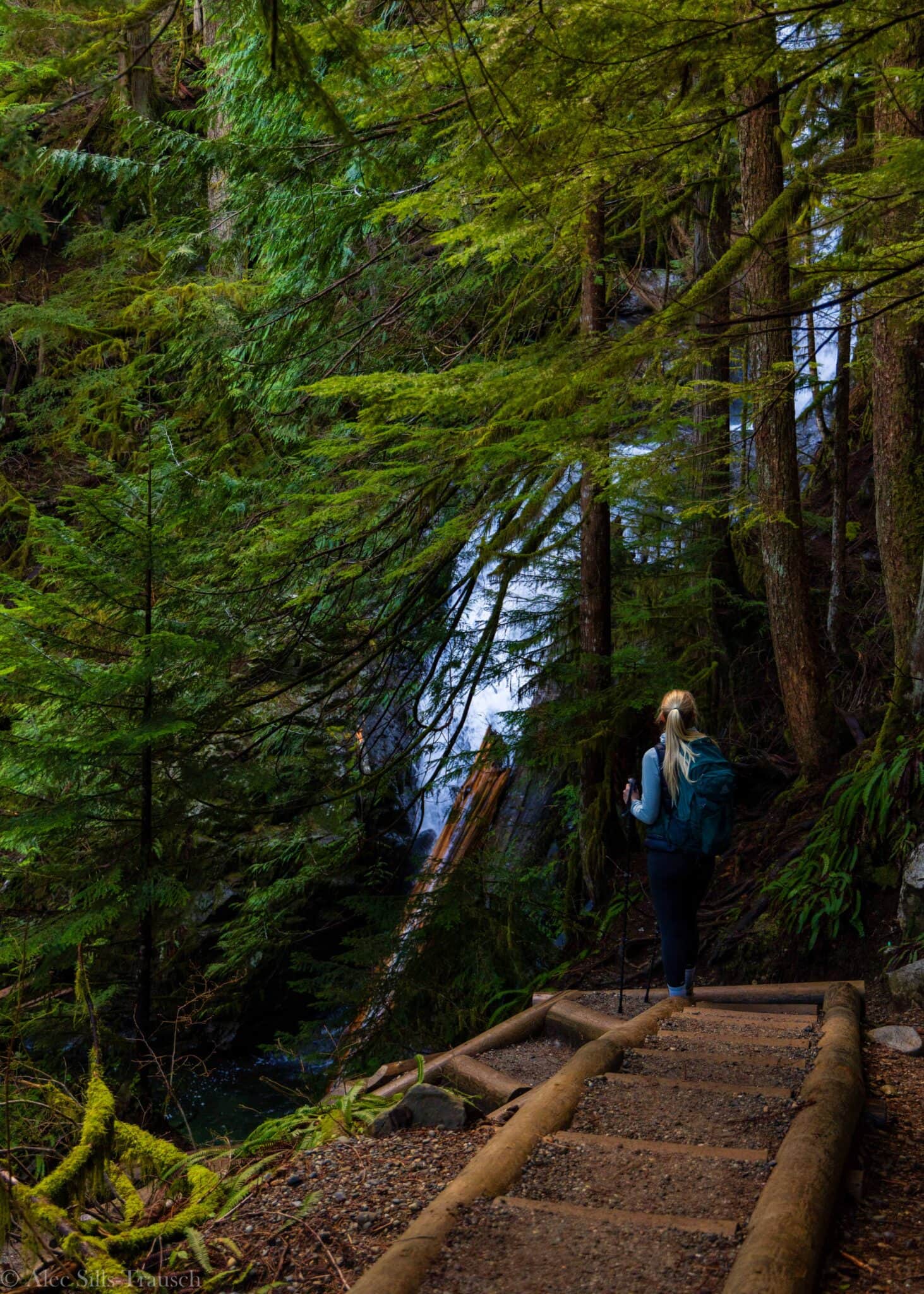 The 9 Best Hikes Along the Mountain Loop Highway in Washington