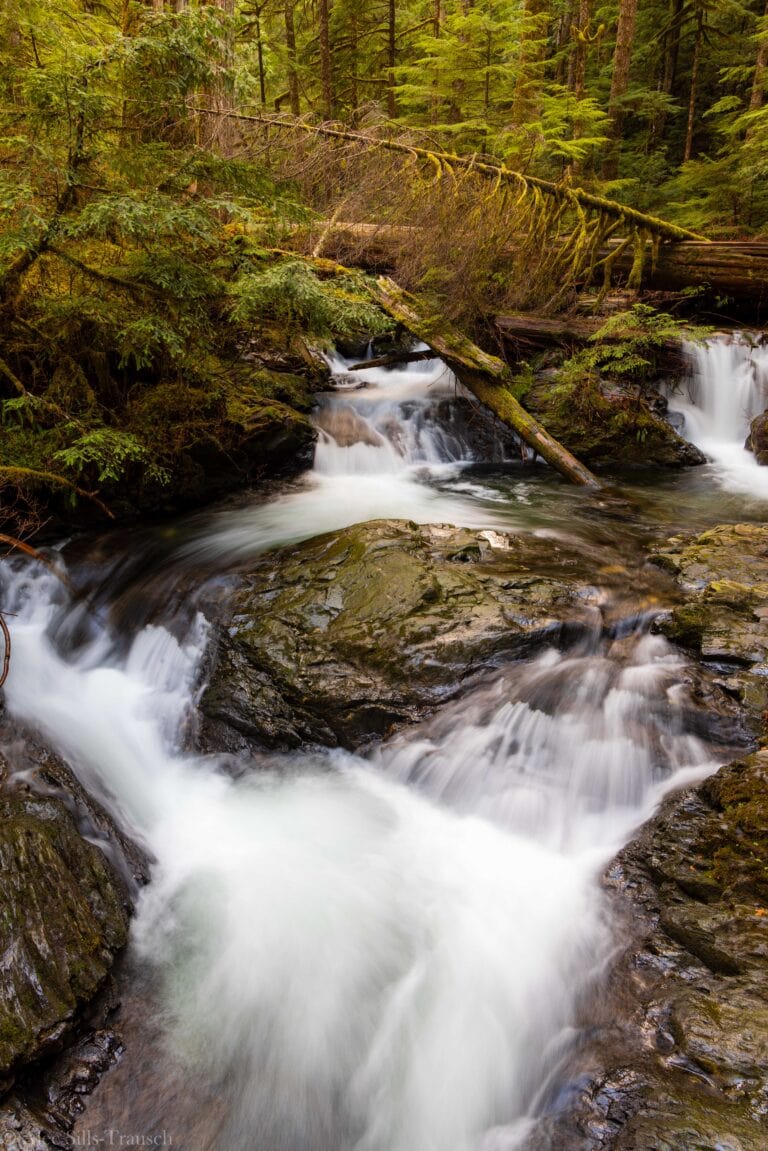Lake 22 Trail: Guide for a Great Washington Hike