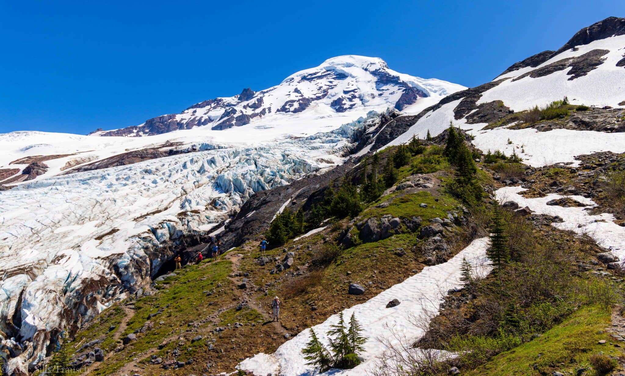 Heliotrope Ridge Trail: One of Washington's Most Underrated Hikes