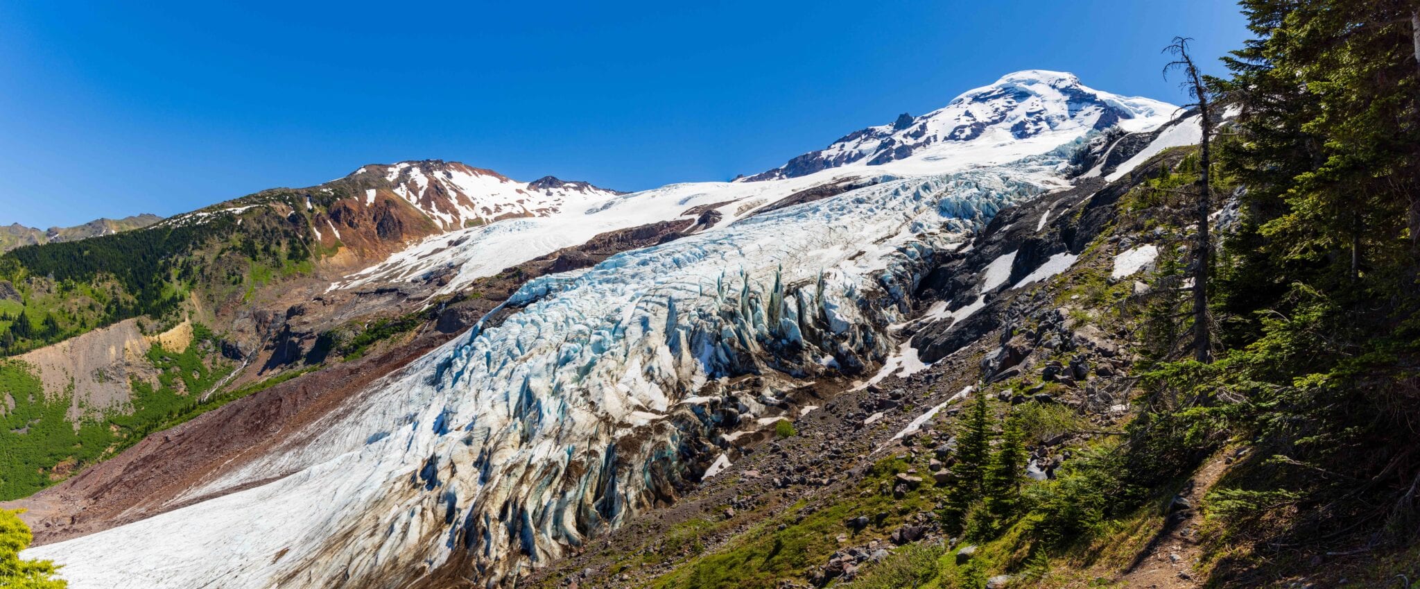 Heliotrope Ridge Trail: One of Washington's Most Underrated Hikes
