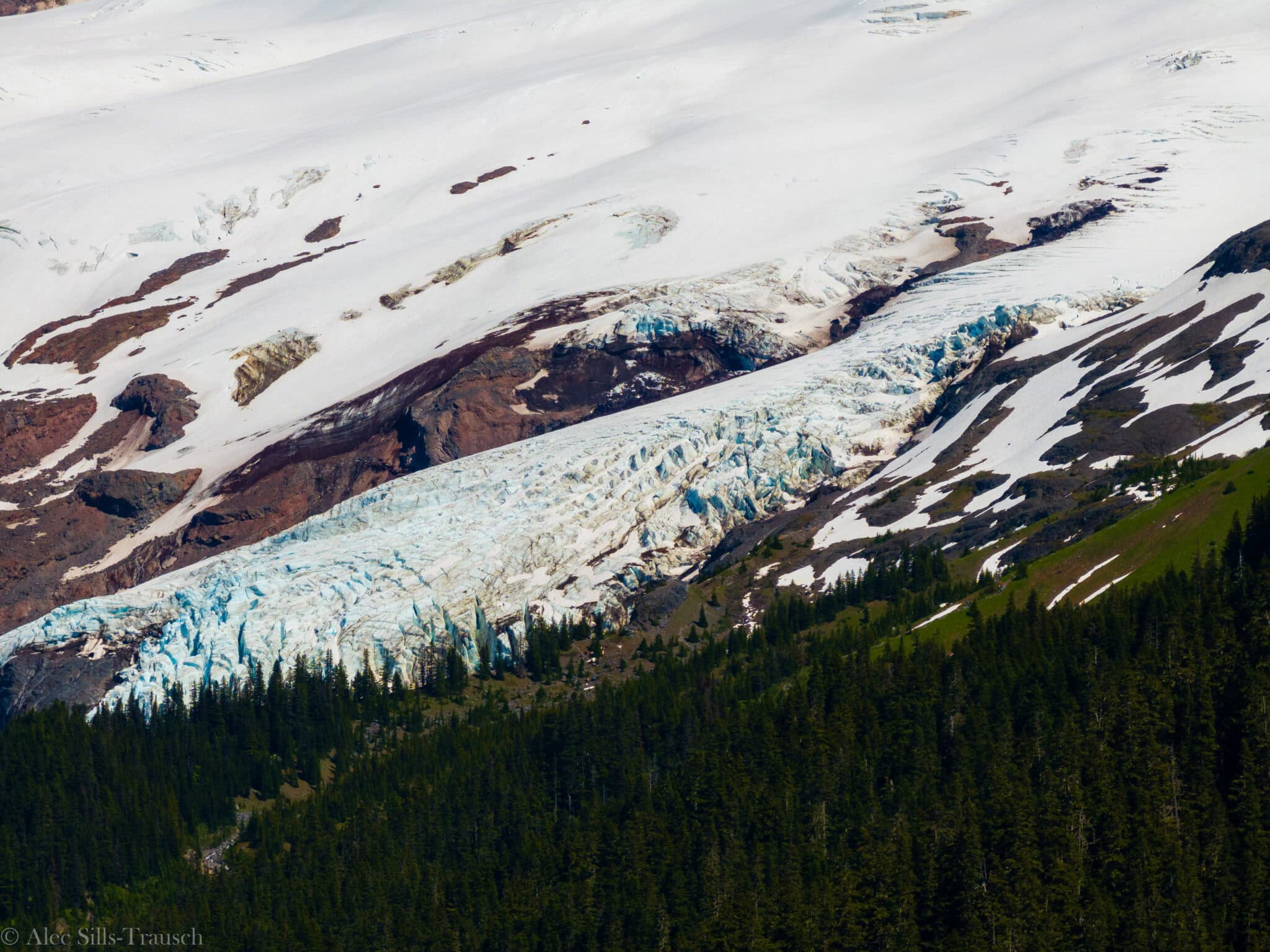 Heliotrope Ridge Trail: One of Washington's Most Underrated Hikes