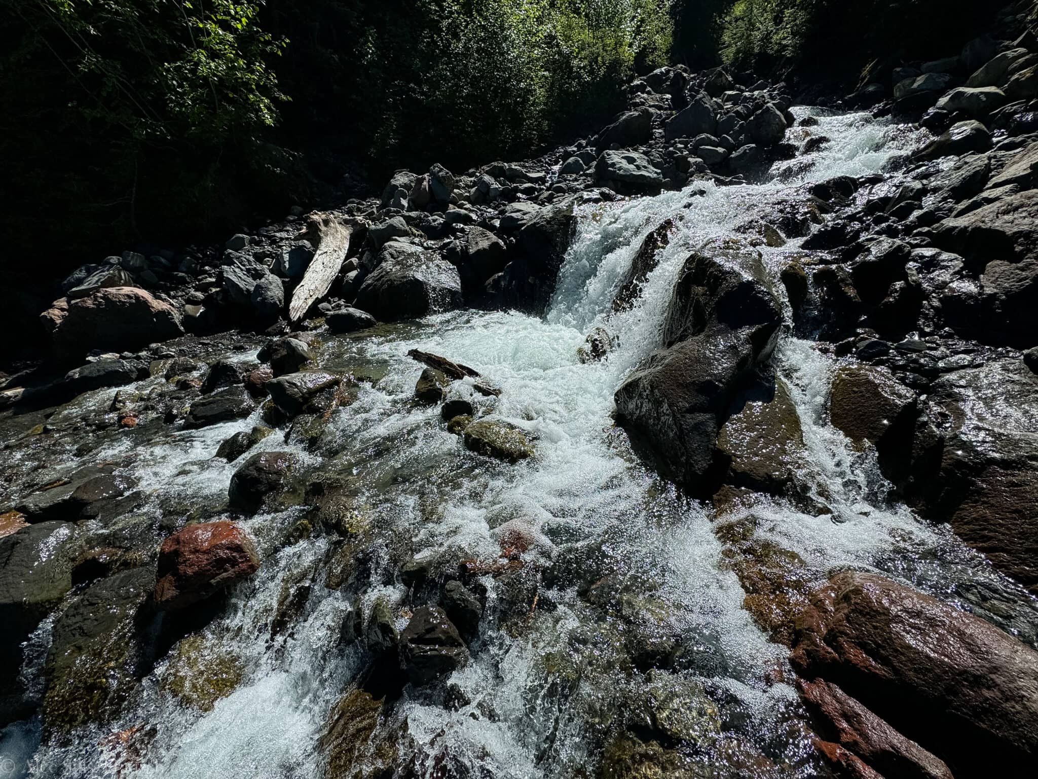 Heliotrope Ridge Trail: One of Washington's Most Underrated Hikes