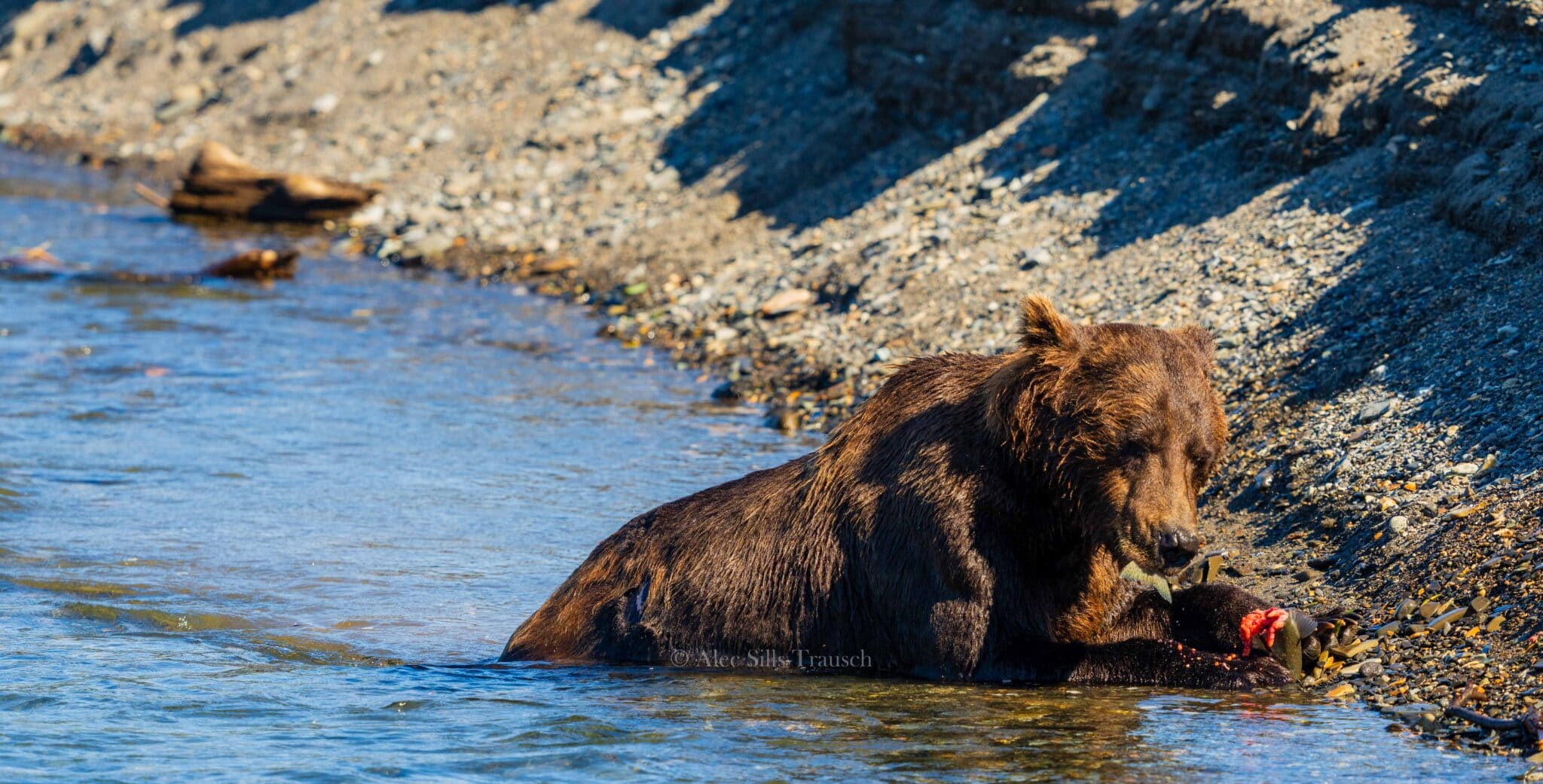 Five-Day Alaska Itinerary for Lake Clark and Katmai National Park ...