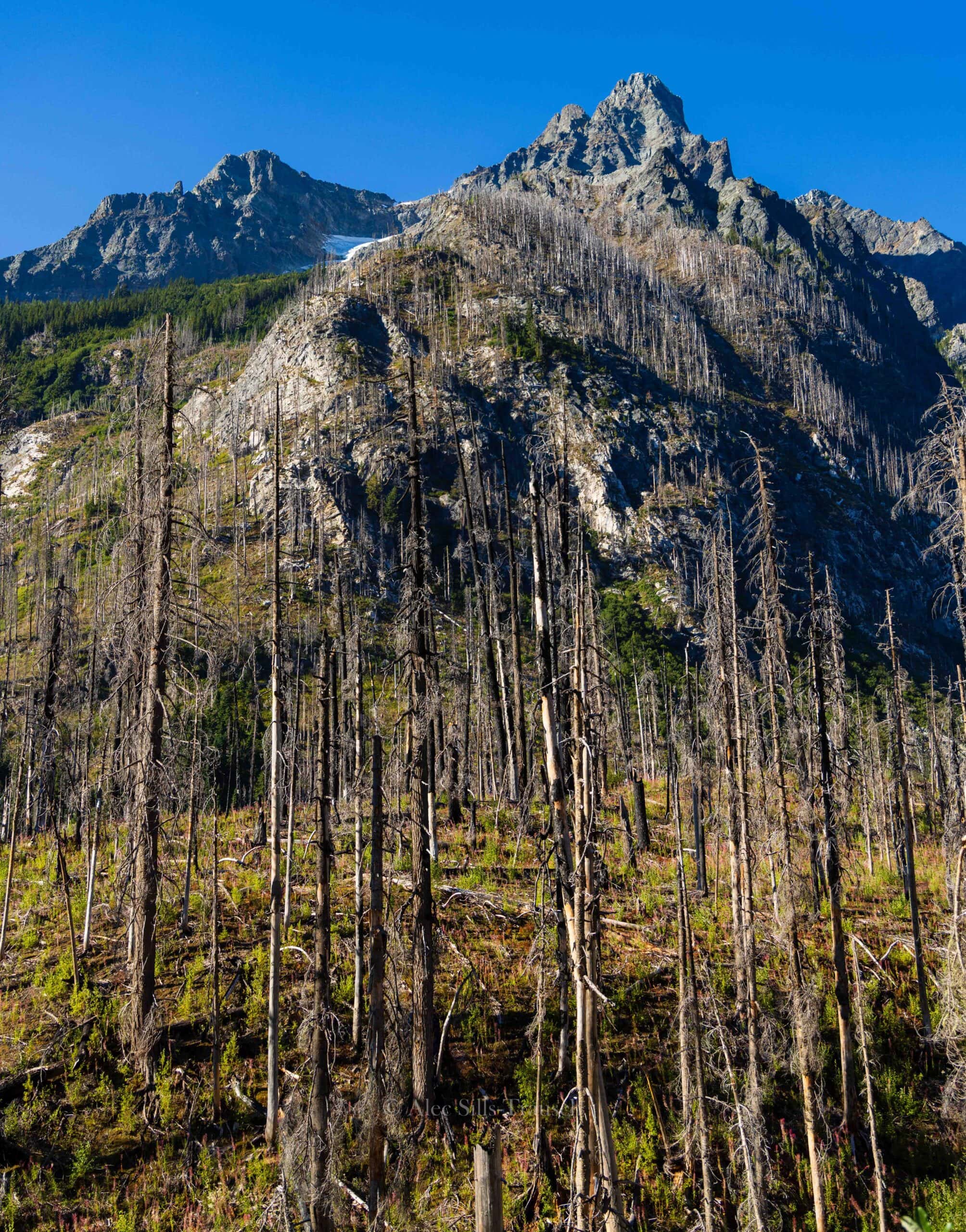 Guide to Backpacking High Pass in the North Cascades