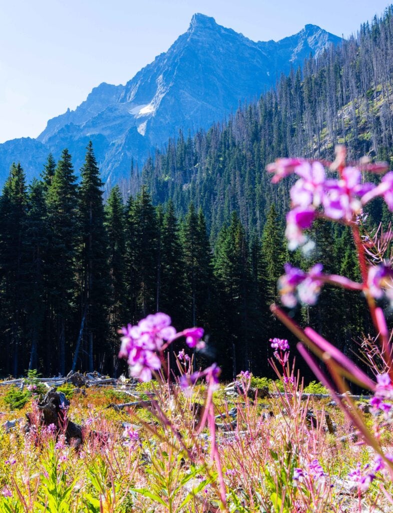 Guide to Backpacking High Pass in the North Cascades