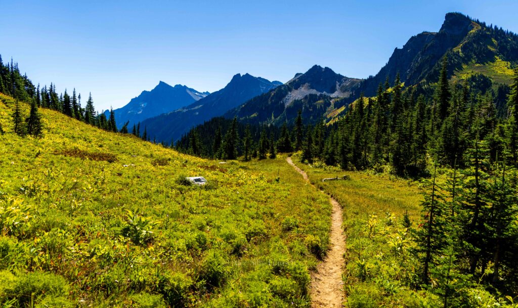 Guide to Backpacking High Pass in the North Cascades