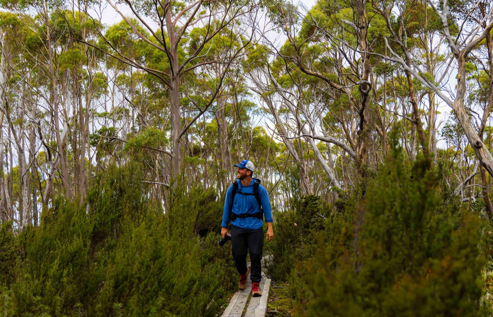 Stunning Six-Day Road trip Through the Tasmania National Parks