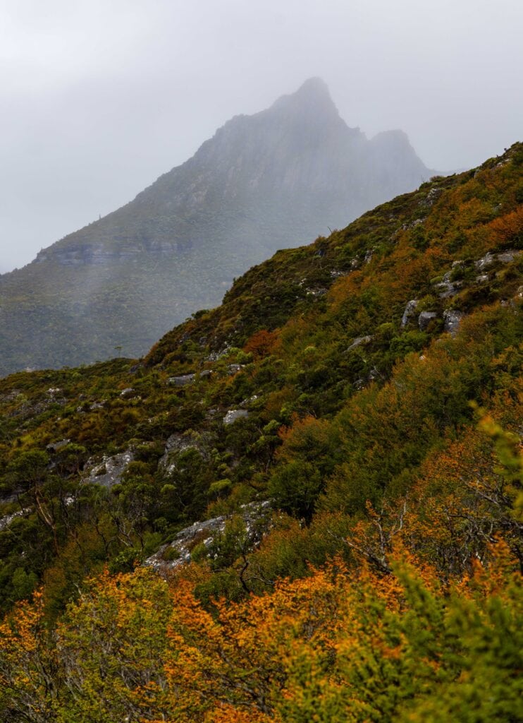 Stunning Six-Day Road trip Through the Tasmania National Parks