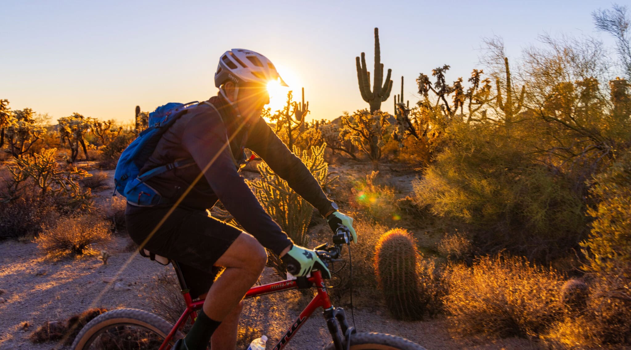 The 7 Best Things To Do in Mesa for an Adventure Lover