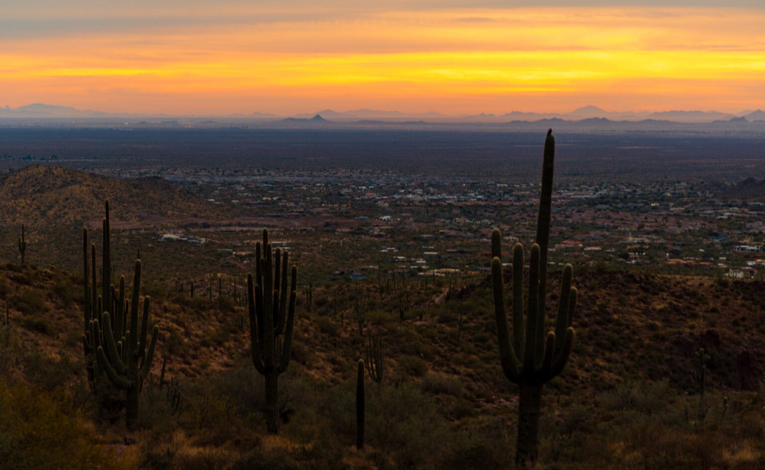 The 7 Best Things To Do in Mesa for an Adventure Lover