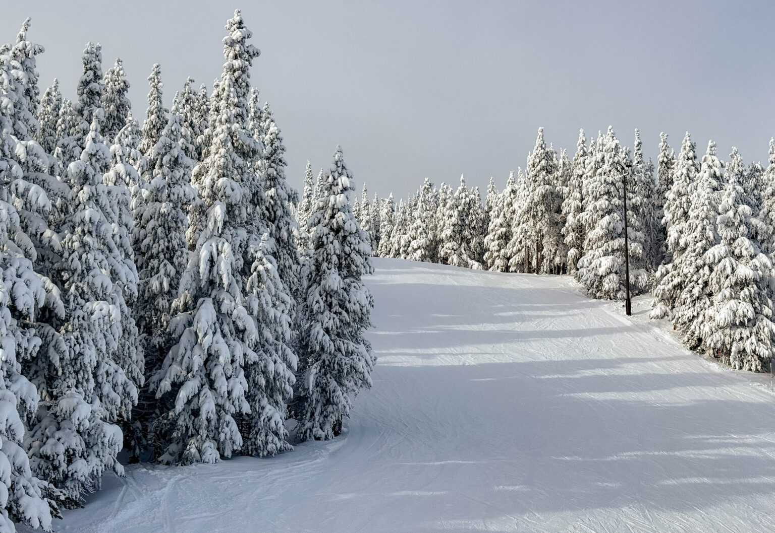 Wenatchee in Winter: Best things to do and how to plan a trip