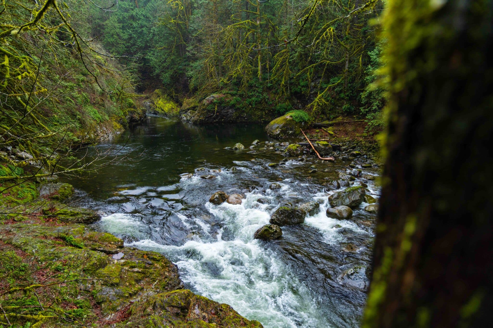 Trail Guide to Family-Friendly Twin Falls Hike in Washington