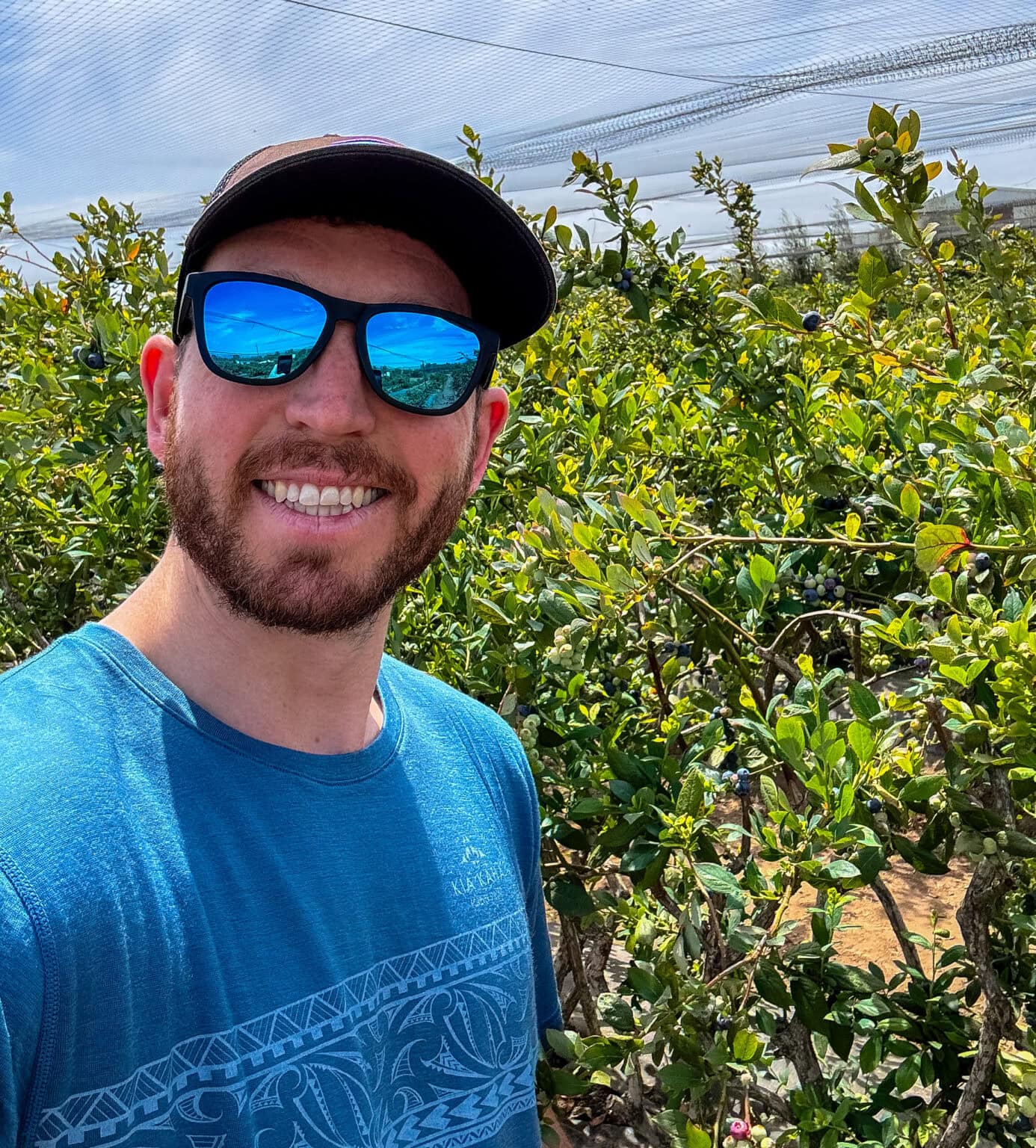 Why Santa Maria Valley is Worth Visiting: 3-Day Itinerary, Top ...