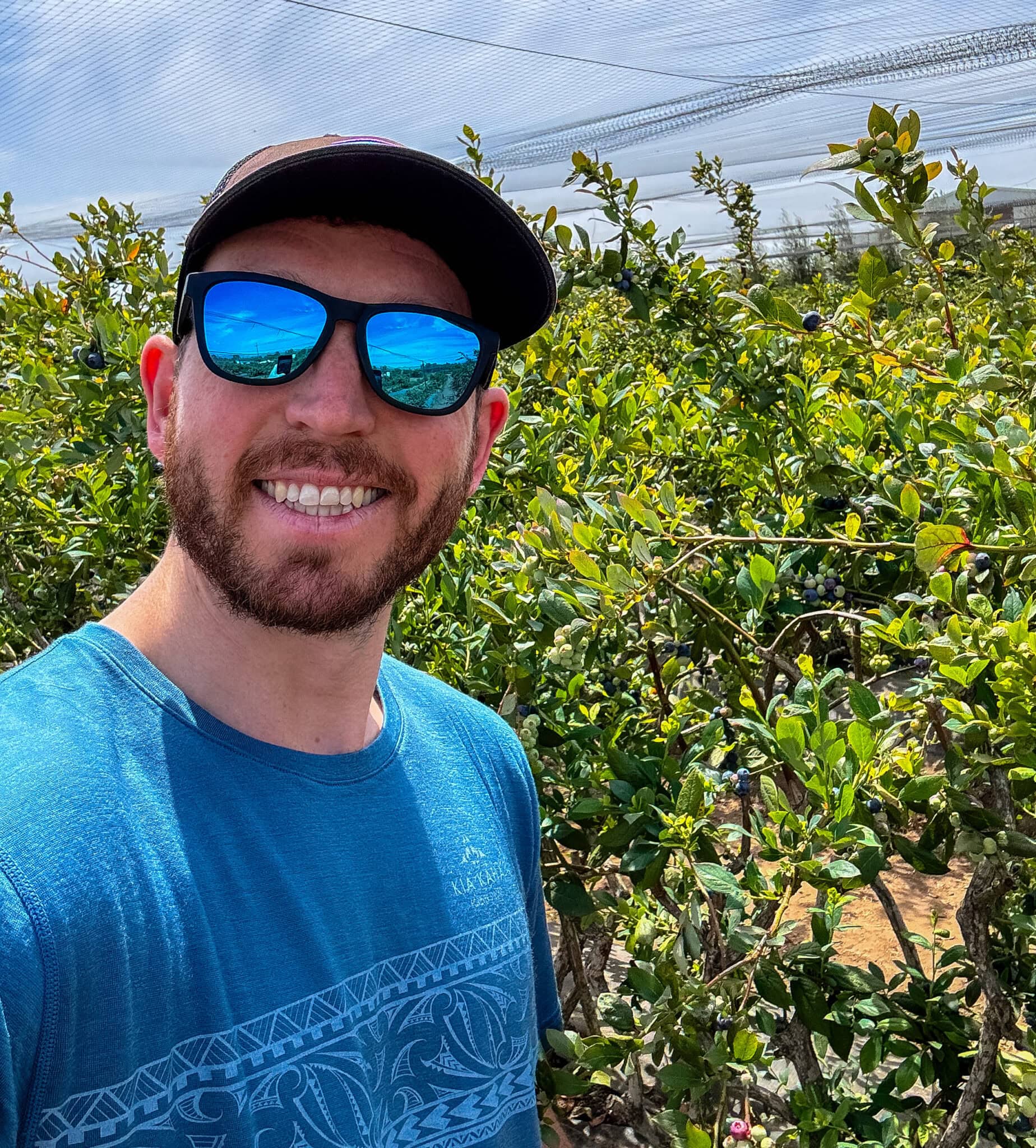 Why Santa Maria Valley is Worth Visiting: 3-Day Itinerary, Top ...