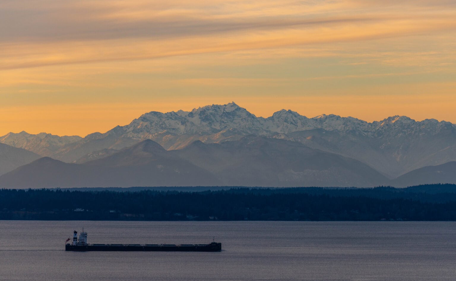 Guide: 12 Fun Things to do In Ballard (From a Local)