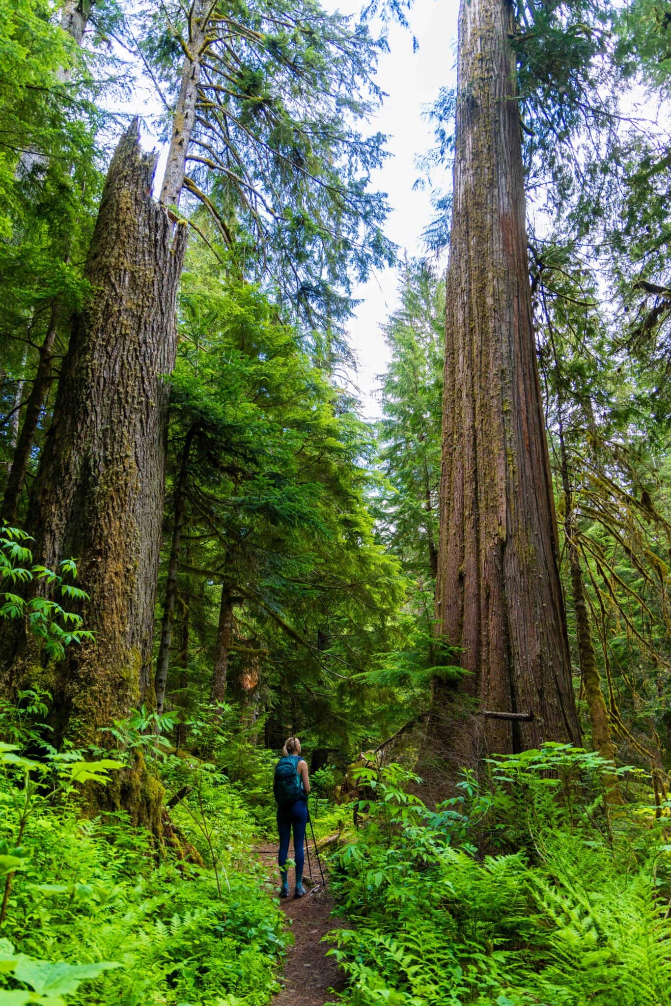 The 9 Best Hikes Along the Mountain Loop Highway in Washington