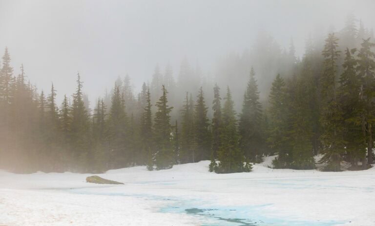 The 11 Best Hikes on Highway 2 in Western Washington
