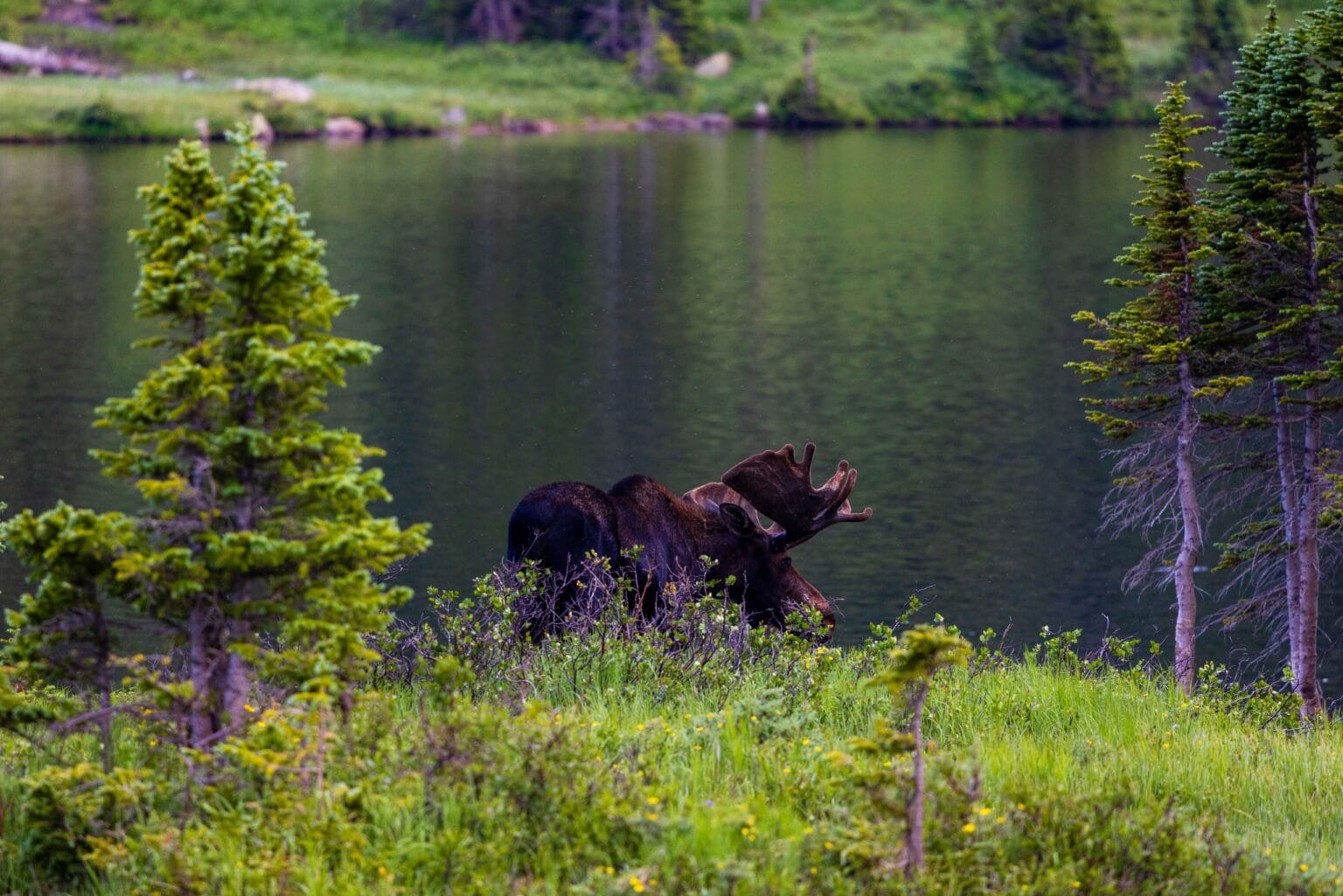 Hiking Guide to Lake Isabelle in the Indian Peaks Wilderness and ...