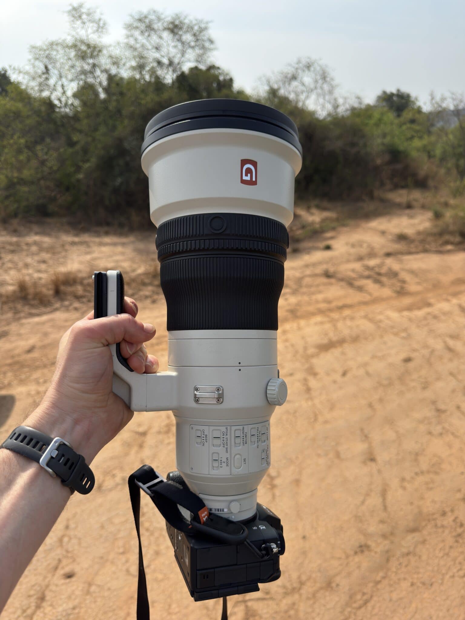 Ranking the Best Camera Lenses to bring on an African Safari