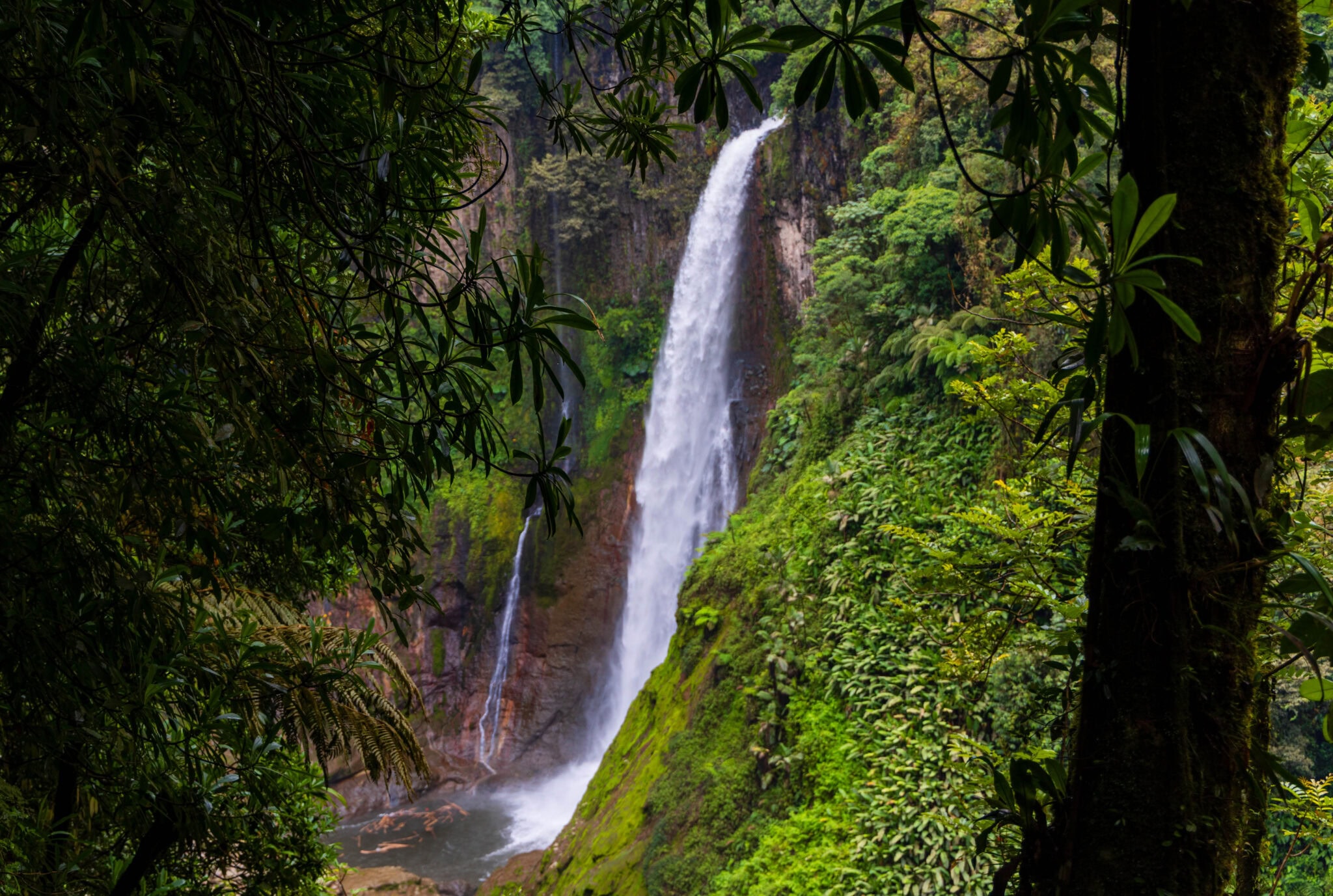 Guide to Blue Falls of Costa Rica and Catarata Del Toro Waterfall
